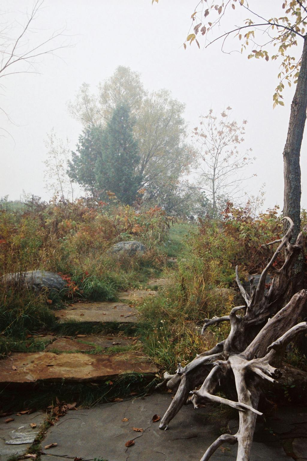 Laroche | Alain Roy - Architecte paysagiste