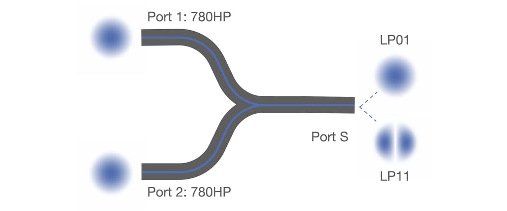 Mode Selective Photonic Lanterns Castor