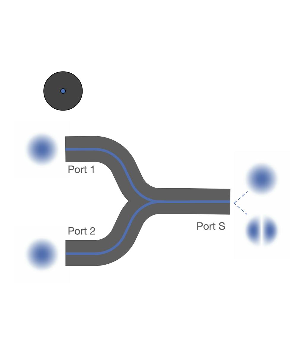 Mode Selective Photonic Lanterns Castor