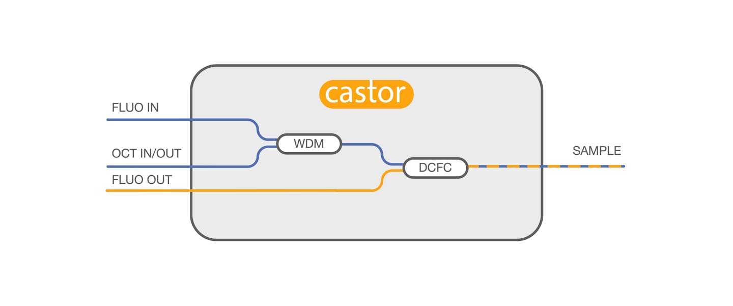 Interferometers and Compact Subassemblies | Castor