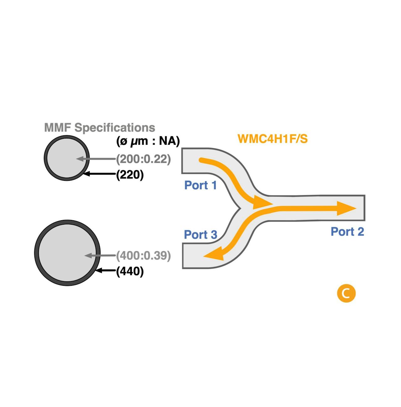 Expanding Multimode Fiber Based Imaging And Sensing Capabilities Castor