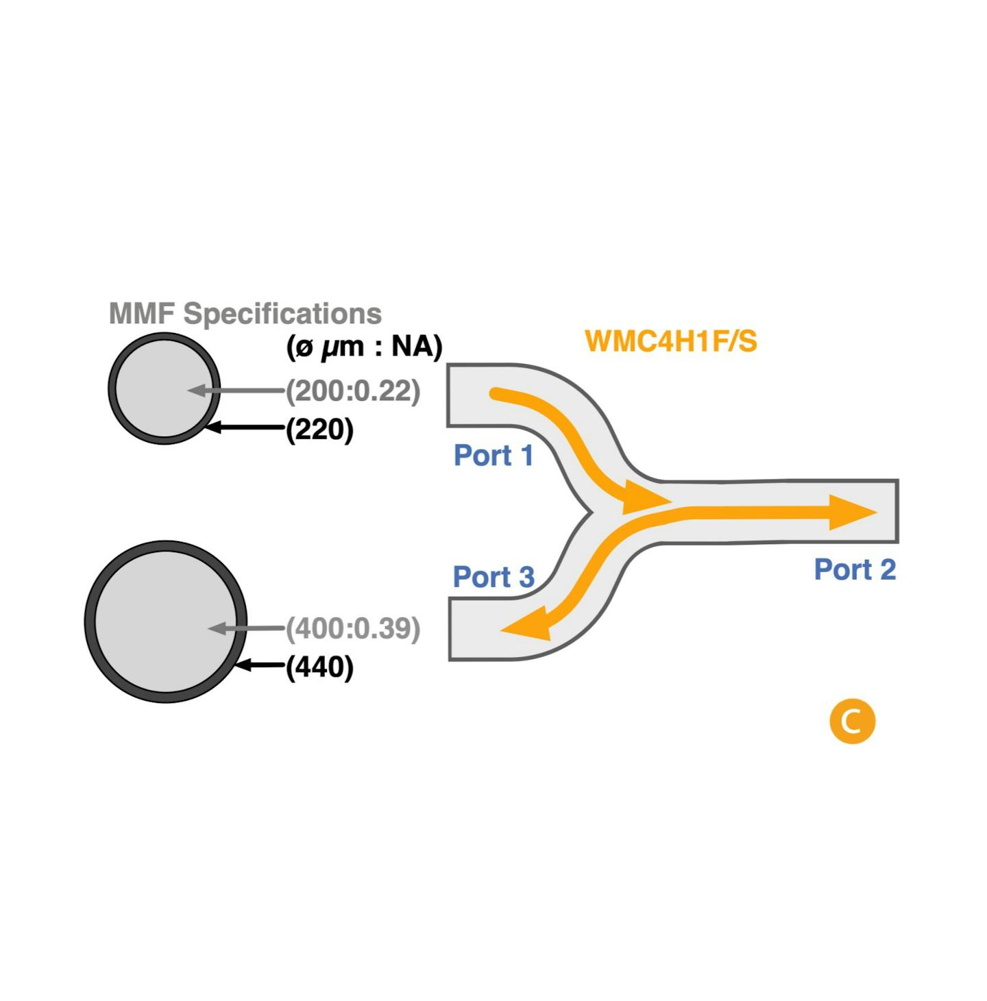 Expanding Multimode Fiber-based Imaging and Sensing Capabilities | Castor