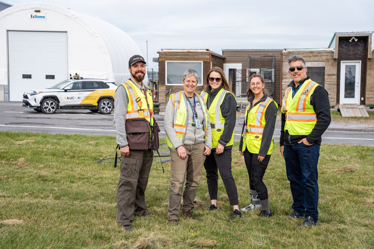 Falcon Environmental