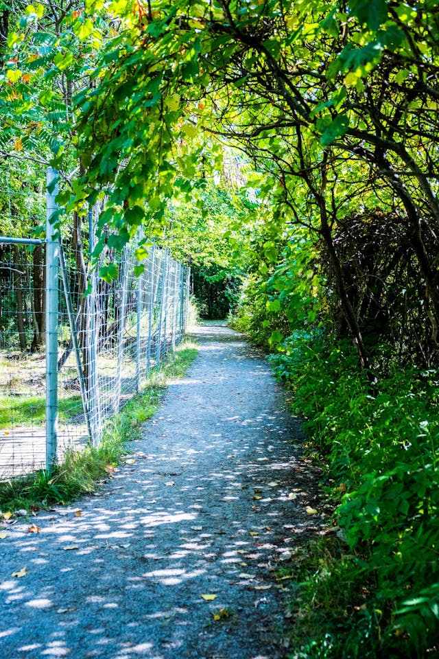 Le Centre de la Biodiversité du Québec | MRC de Bécancour