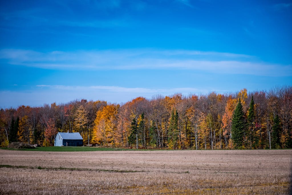 Saint-Sylvère | MRC de Bécancour