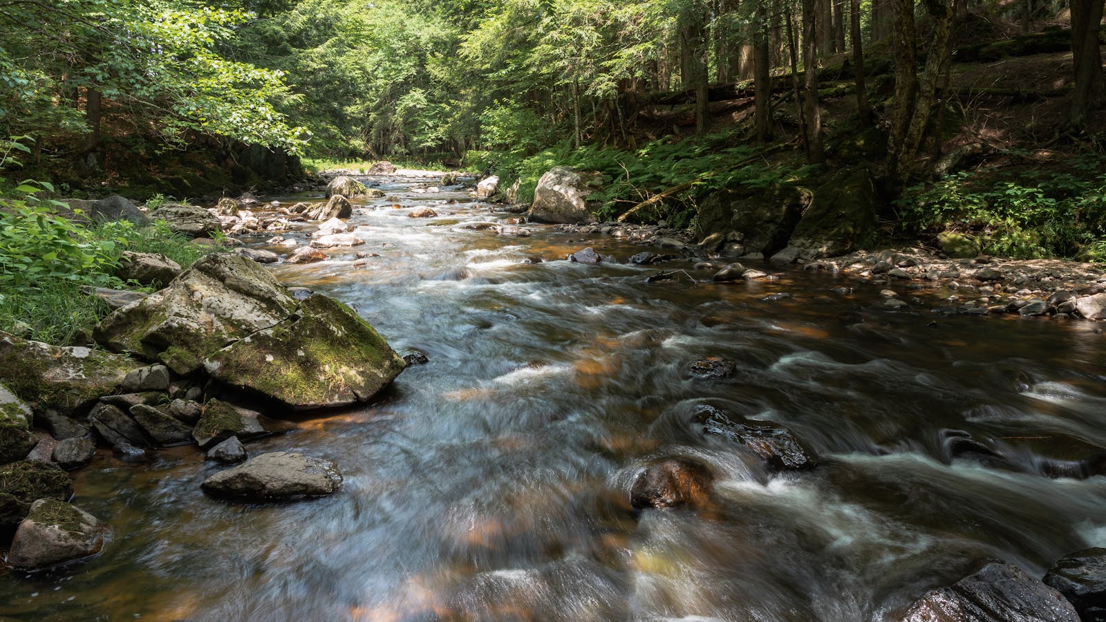 Climate change adaptations for water management (ACCGE in the French ...