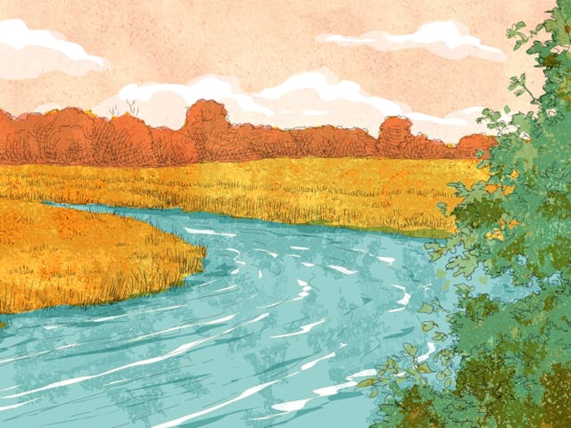 The Saint-Lawrence Lowlands | MRC Brome-Missisquoi