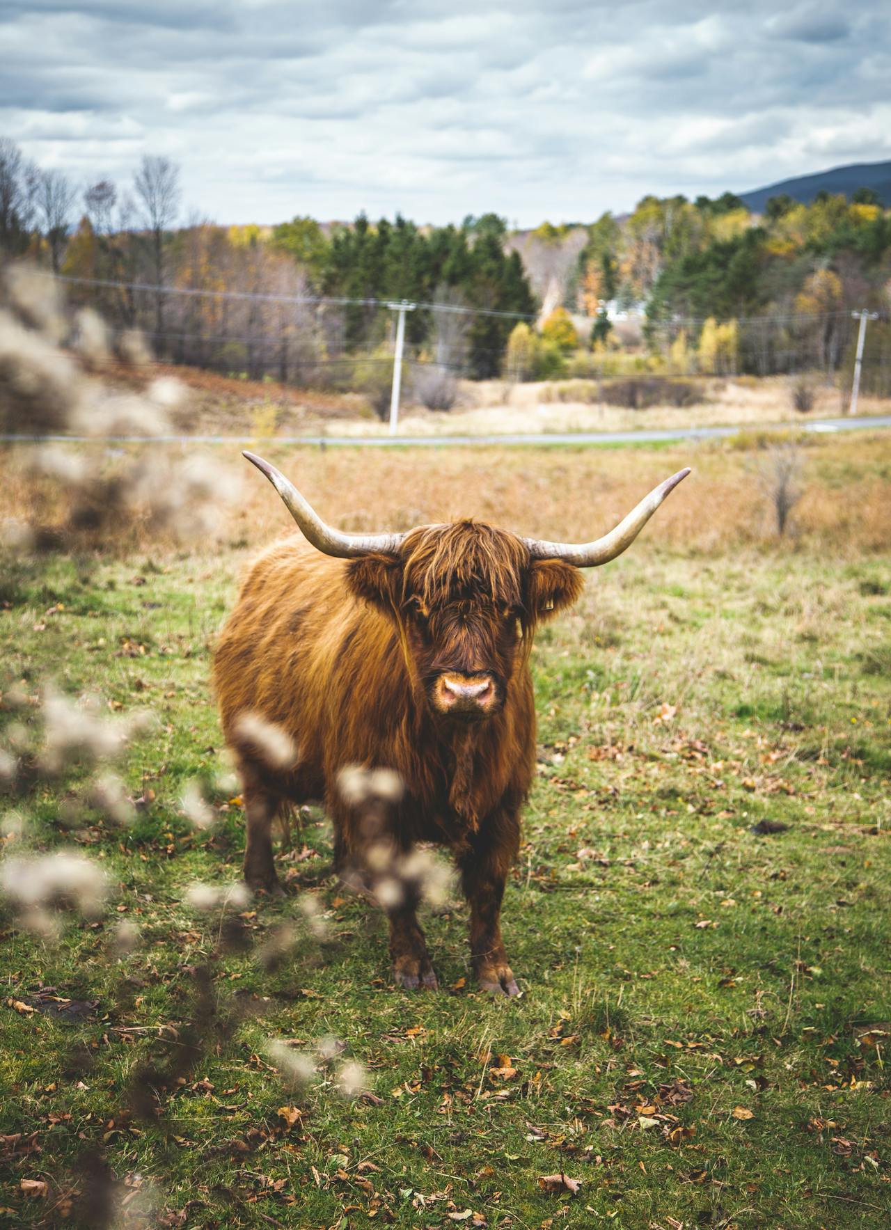 Bolton-Ouest | MRC Brome-Missisquoi