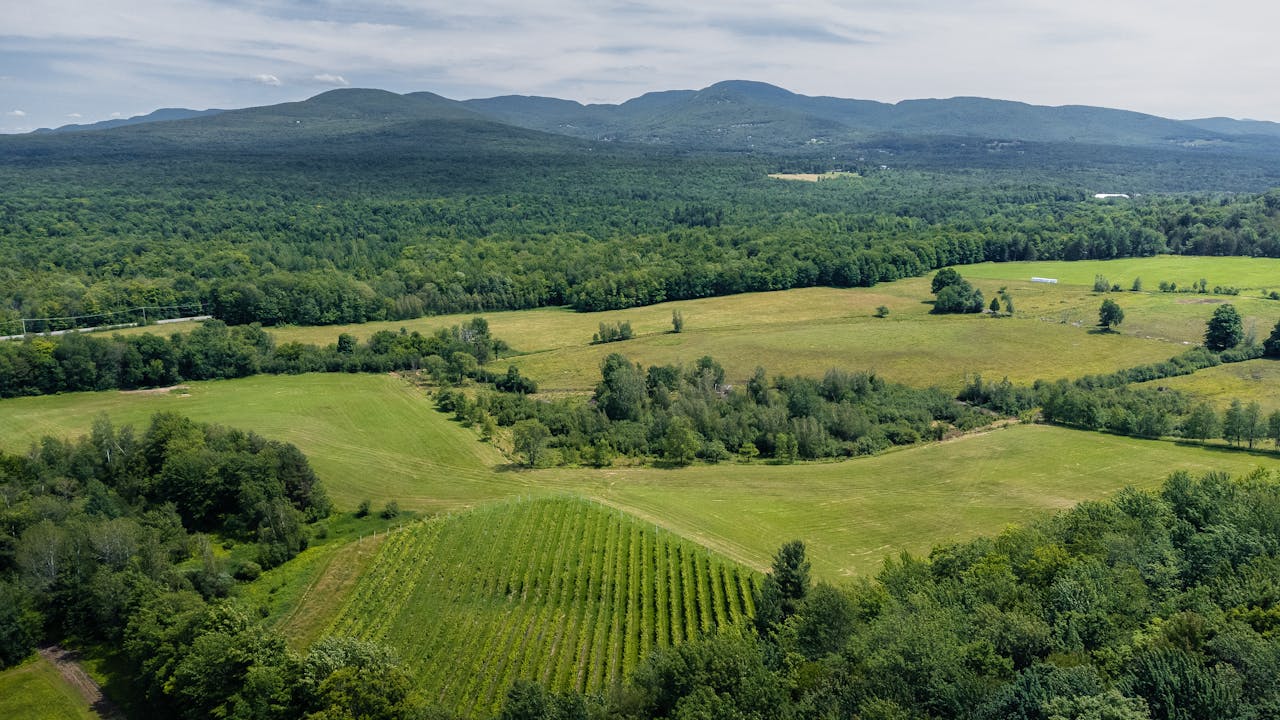 Brome Lake | MRC Brome-Missisquoi