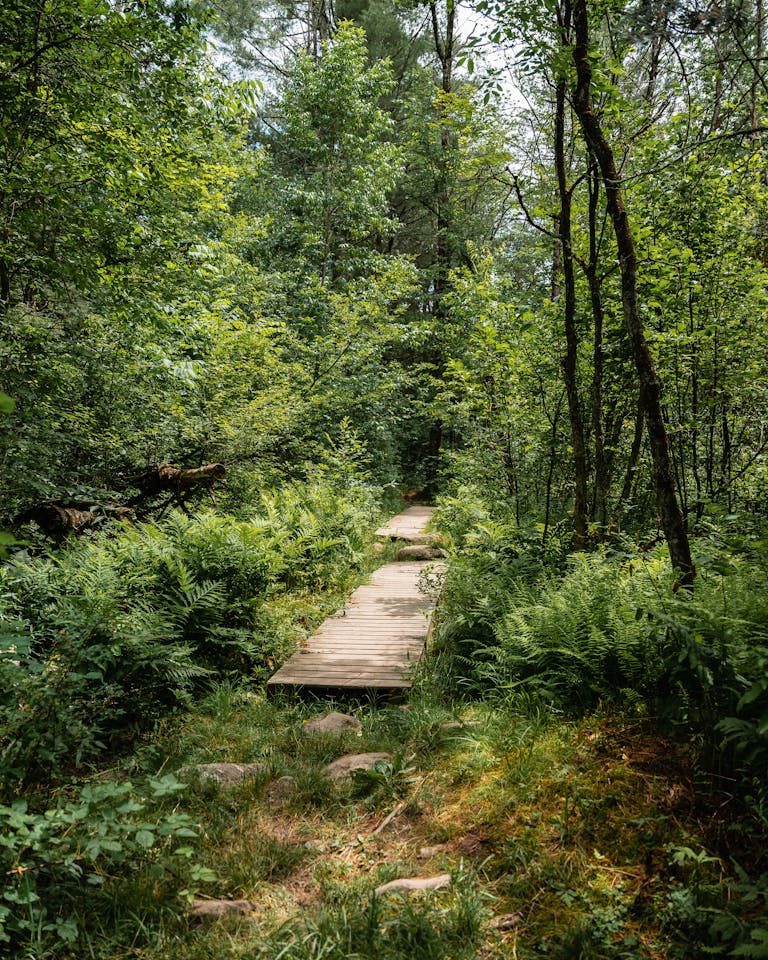 Temporary wooden stream crossings | MRC Brome-Missisquoi