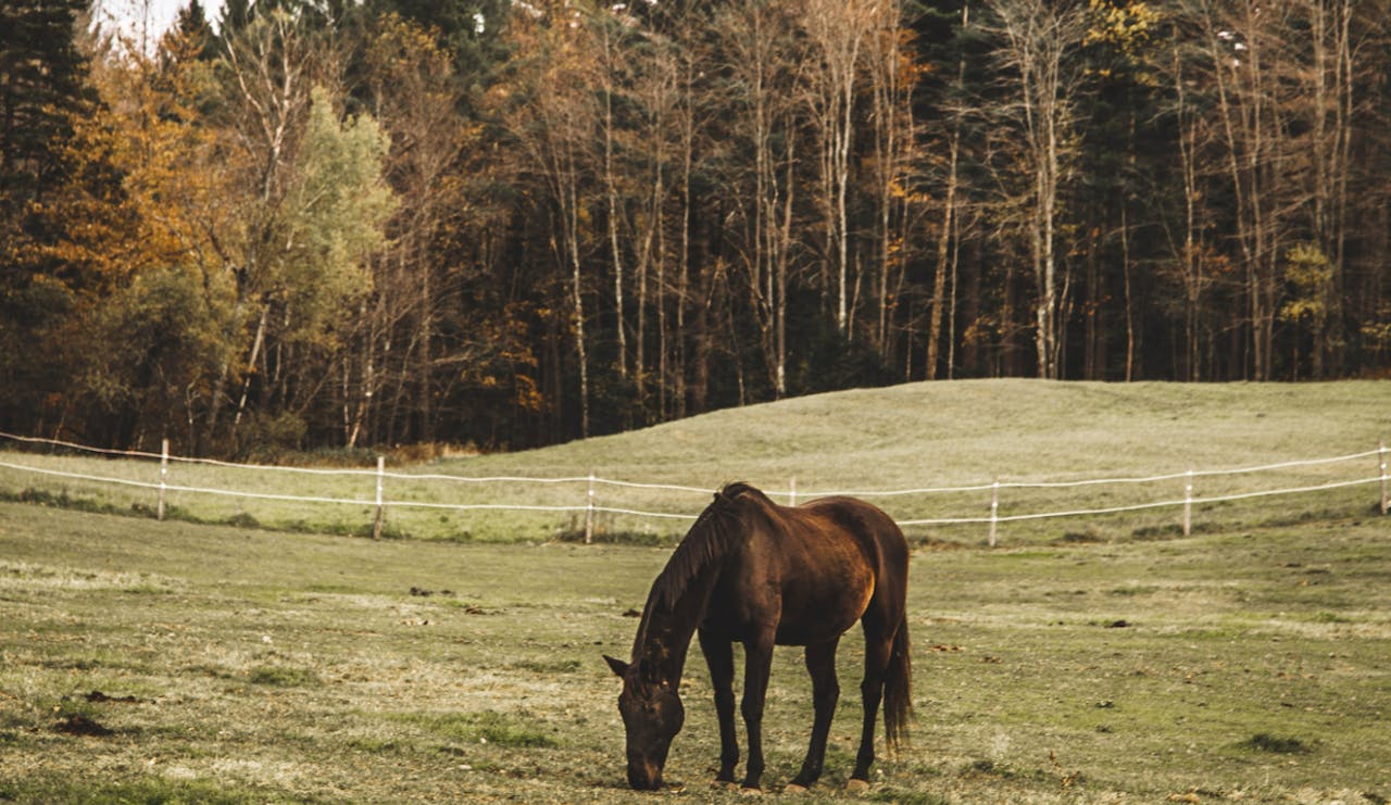 Bolton-Ouest | MRC Brome-Missisquoi
