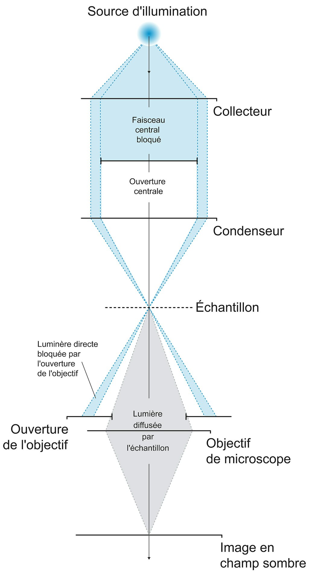 Glossaire en optique et photonique | Photon etc.