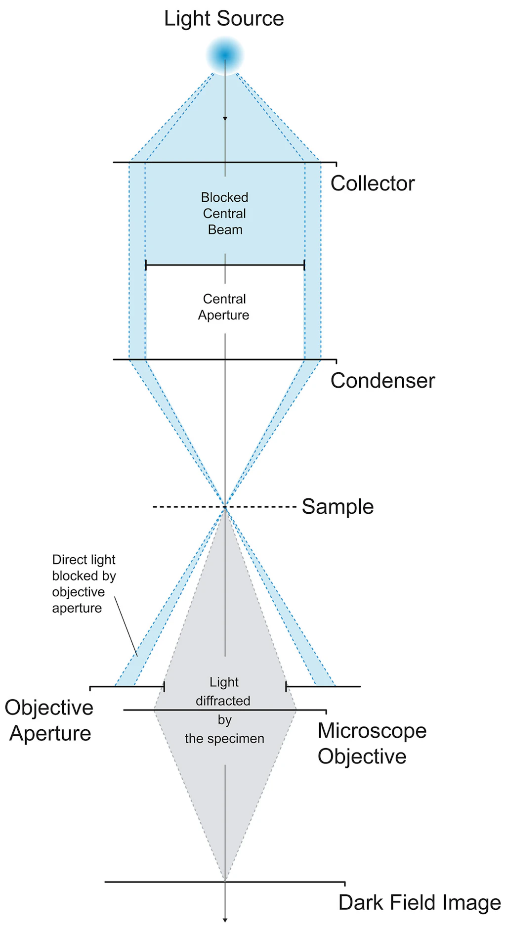 Glossary in Optics and Photonics | Photon etc.