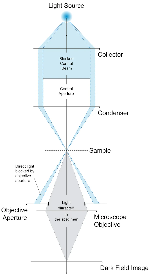 Glossary in Optics and Photonics | Photon etc.
