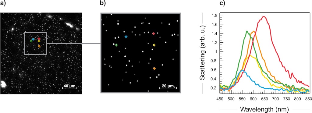 Darkfield Imaging of AuNPs | Photon etc.