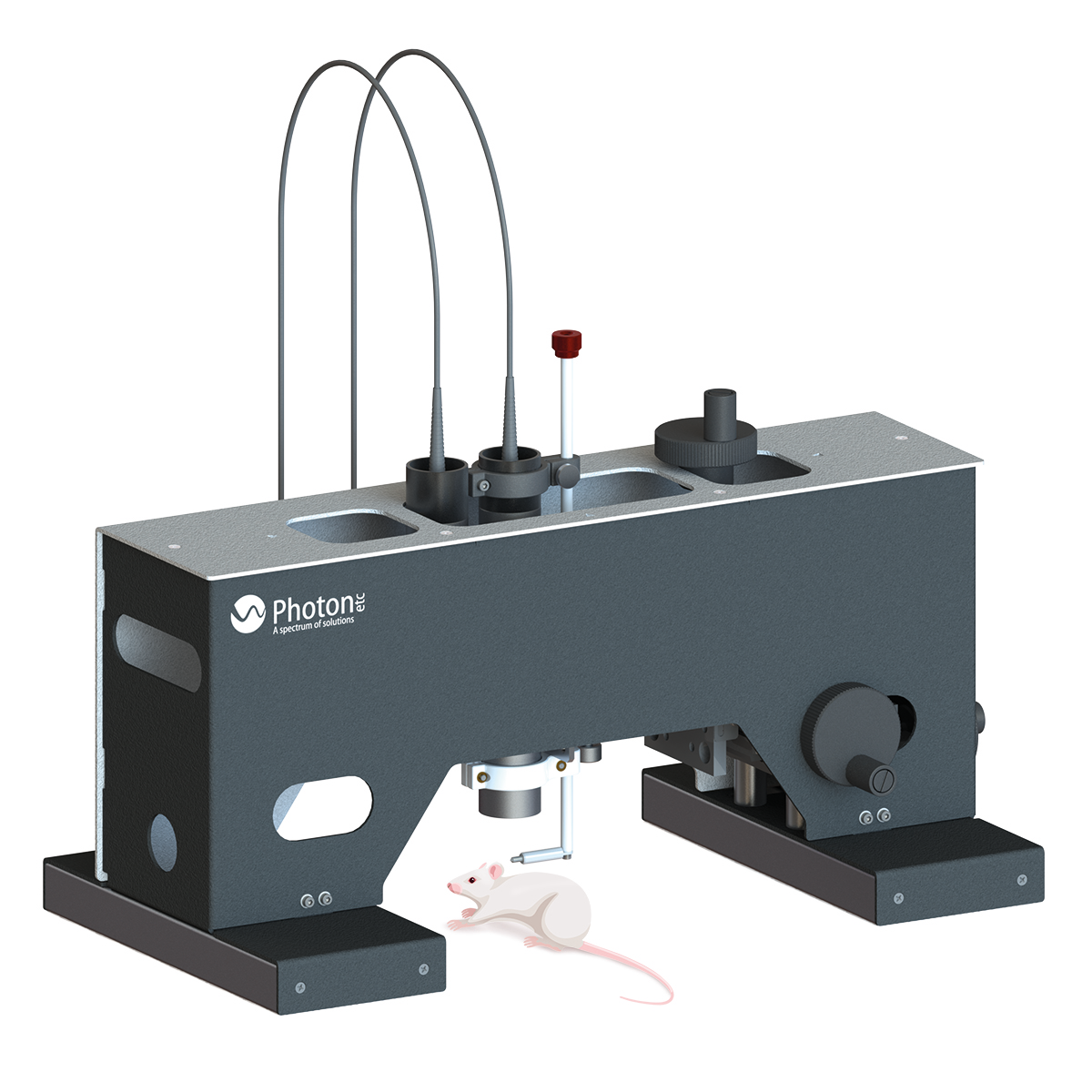 In Vivo NIR-II Imaging | Photon etc.