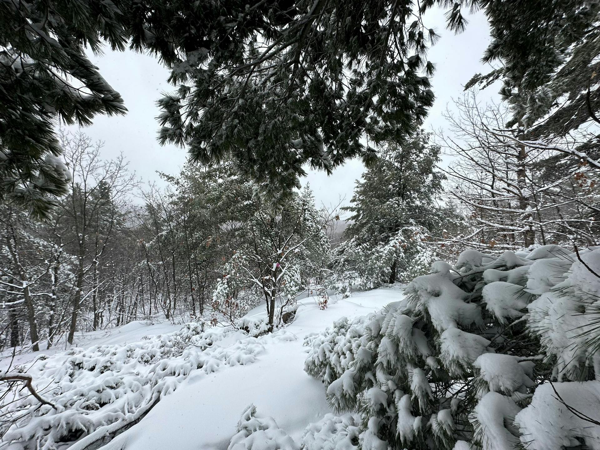 Sentiers de L’escapade | Ville de Rigaud