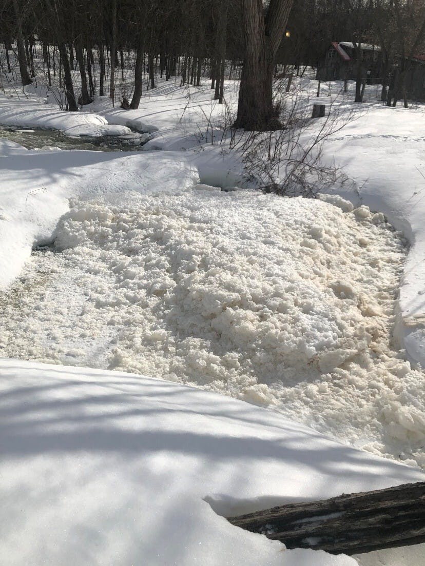 Rivière de Rigaud | Mise à jour sur la contamination | Ville de Rigaud
