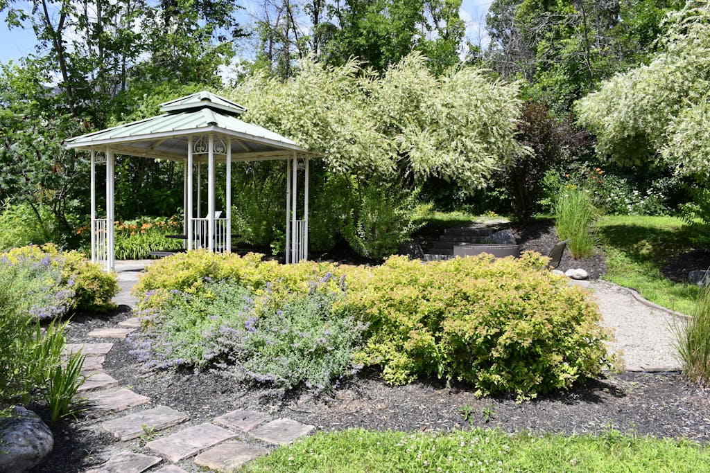 Parc Halte du Dragon-D’Or | Ville de Rigaud