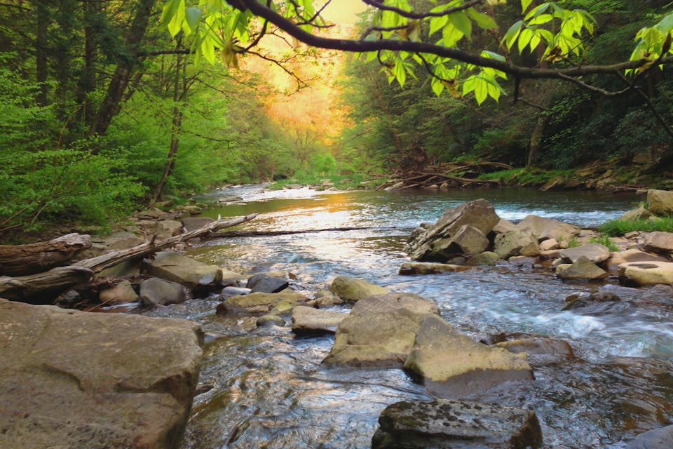 Sentiers de L’escapade | Ville de Rigaud